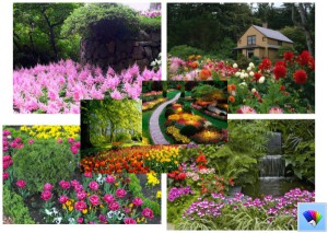 Gardens theme for Windows 8