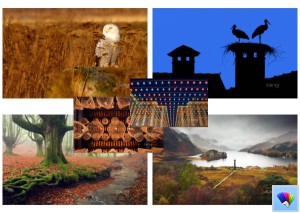 Daily Bing #7 theme for Windows 8