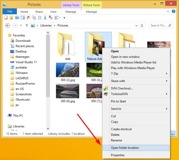 How to change the icon of a folder inside a Library