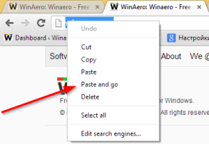 Paste and Go for Internet Explorer - the native way
