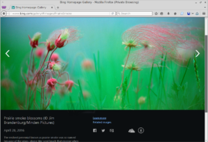 Get Bing wallpapers without Bing watermark