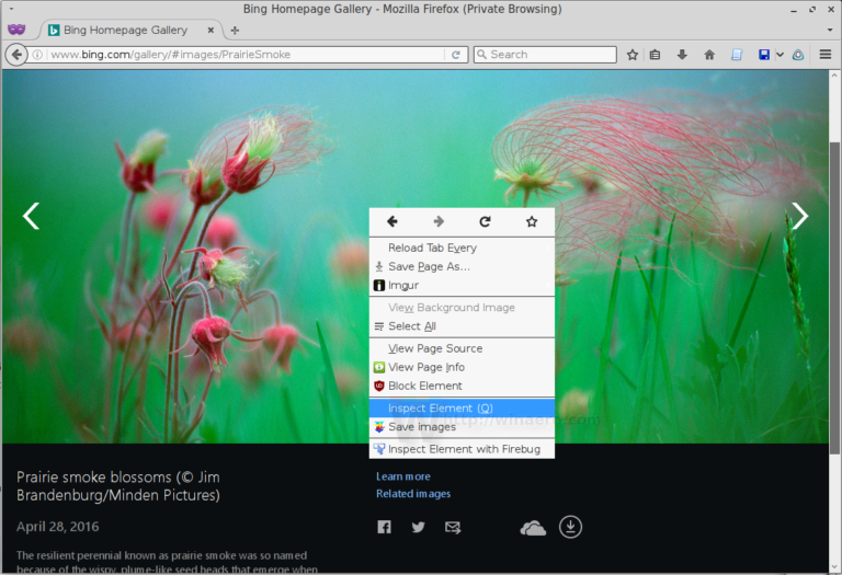 Get Bing wallpapers without Bing watermark