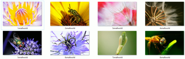 Small World Theme for Windows 10, Windows 8 and Windows 7