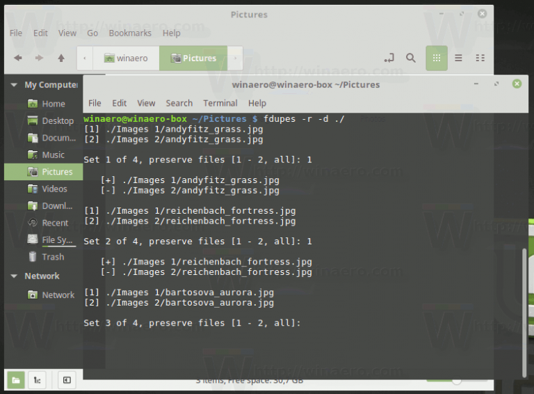 Find And Remove File Duplicates In Linux Mint