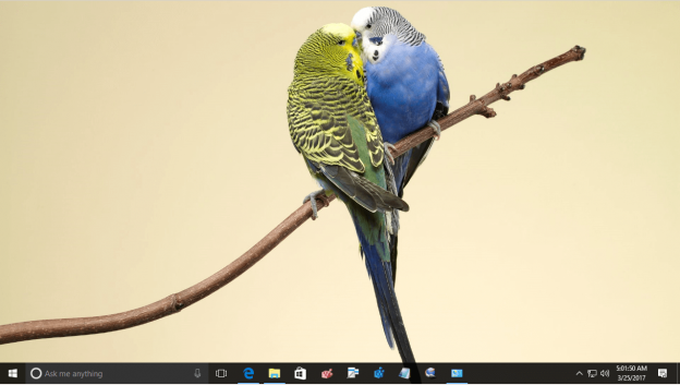 Download Animal Affection theme for Windows 10, 8 and 7