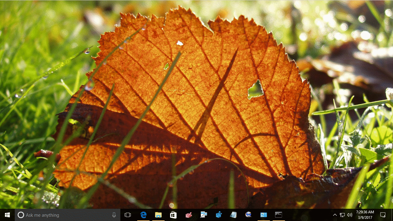 Download Autumn Leaves Theme For Windows 10 8 And 7 download-autumn-leaves-theme-for-windows-10-8-and-7