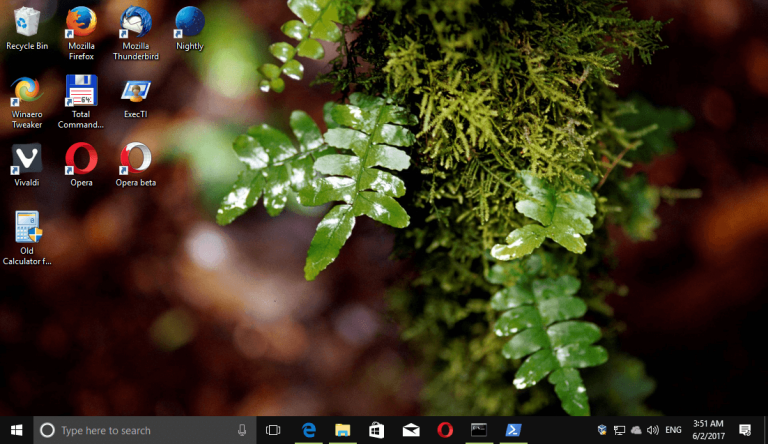 Download Forests theme for Windows 10, 8 and 7