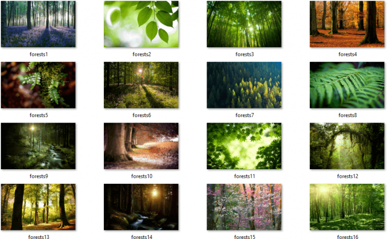 Download Forests theme for Windows 10, 8 and 7