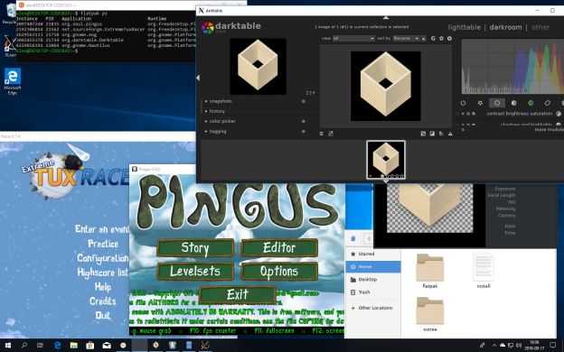 Flatpak is coming to WSL on Windows 10
